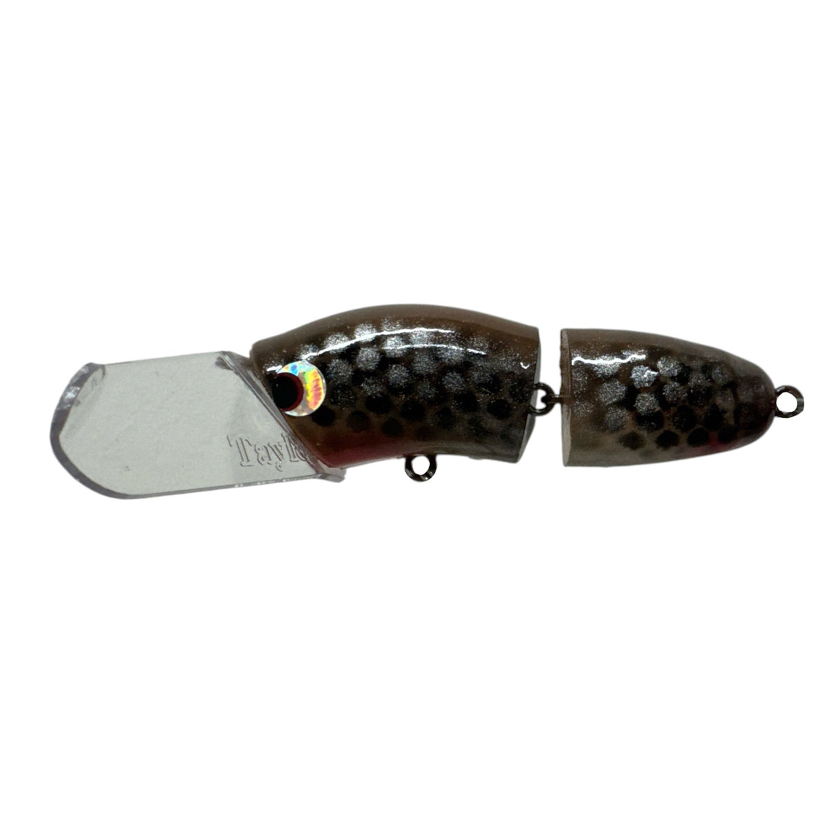 TAYLOR MADE COD WALLOPER – Tamworth Fishing Tackle and the Great Outdoors