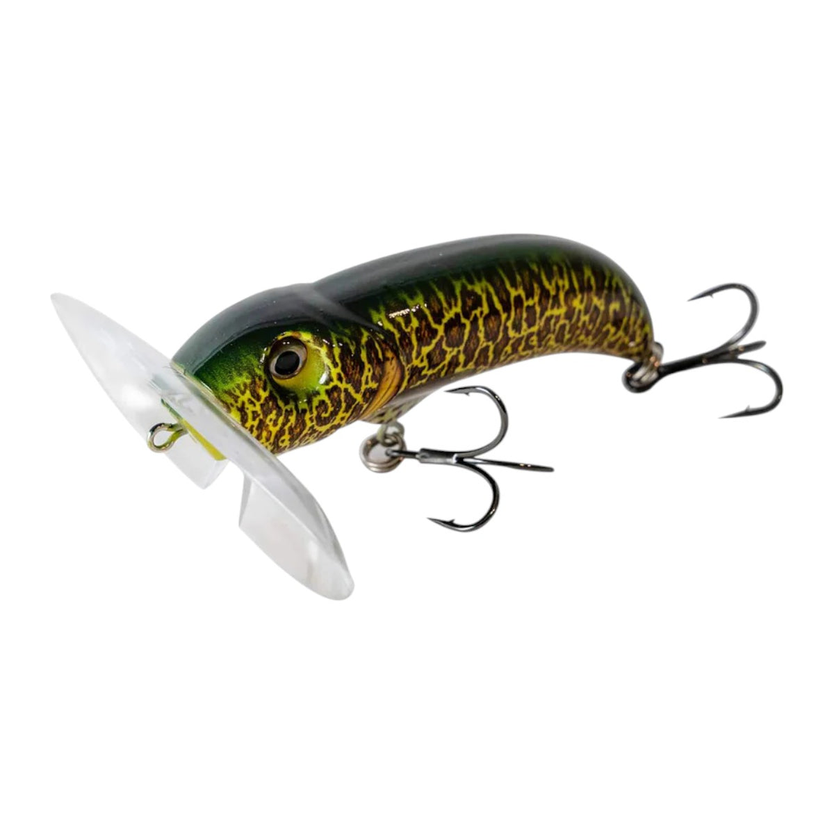 BALISTA HUNCHBACK – Tamworth Fishing Tackle and the Great Outdoors